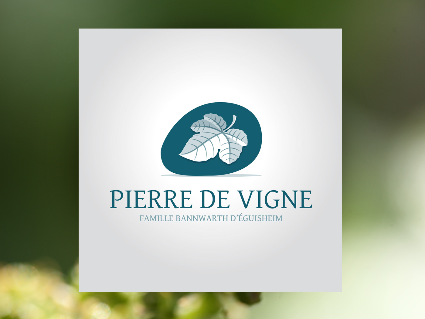 Création logo et étiquette de vin pour Pierre de vigne, famille Bannwarth